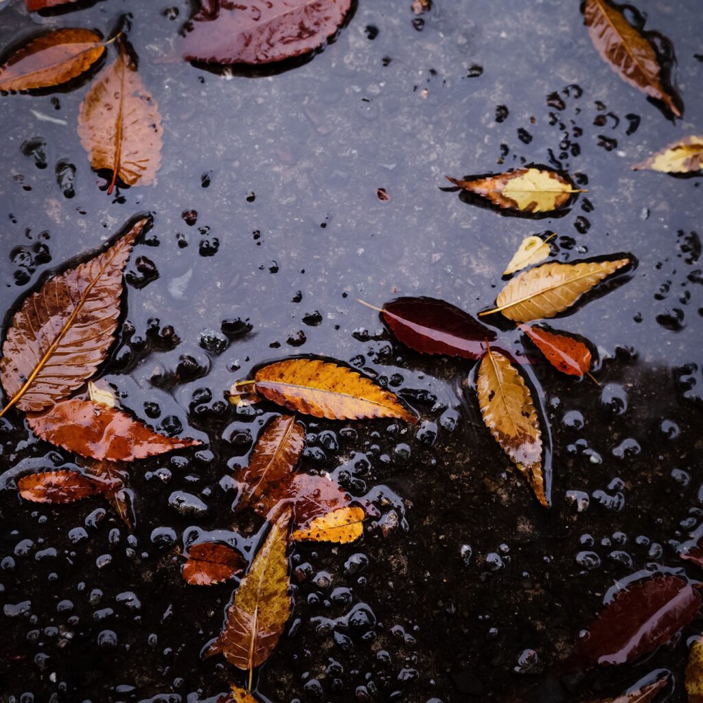 SIGMA fp series with iPhone - KOHJI SUWA PHOTOLOG & INFO - LIGHT PARTY